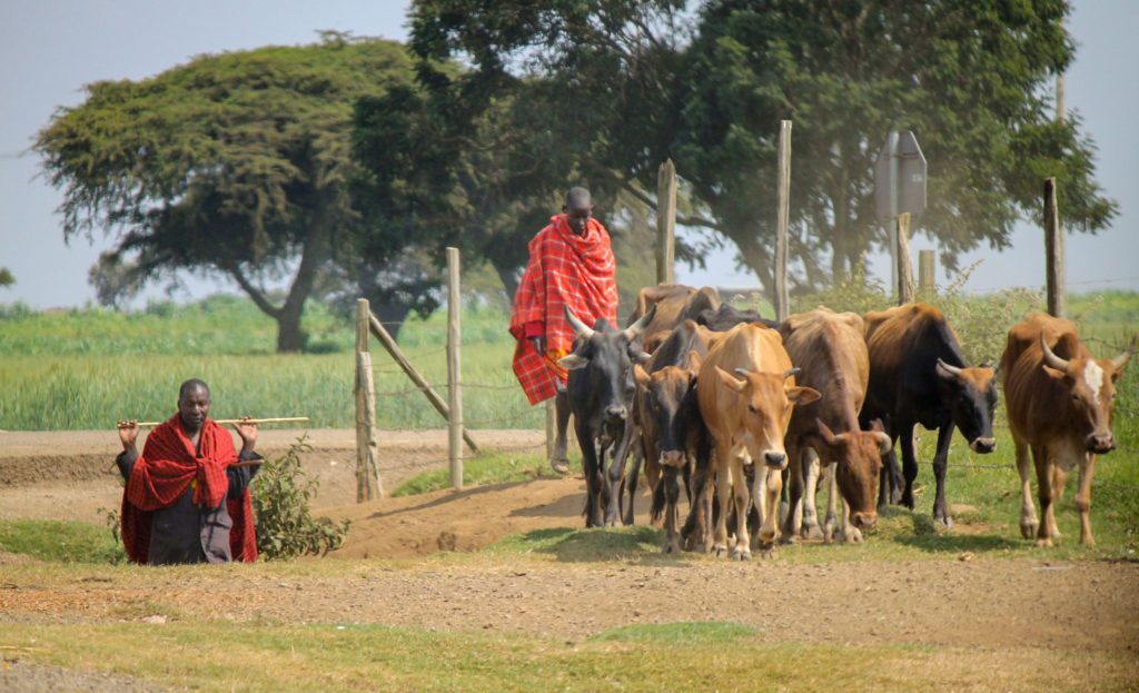 Discovering Kenyan Lifestyle - Harambee Africa