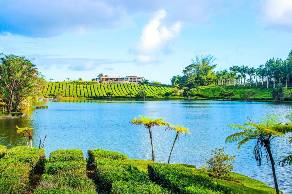 Mauritius - Jewel of the Indian Ocean - Harambee Africa