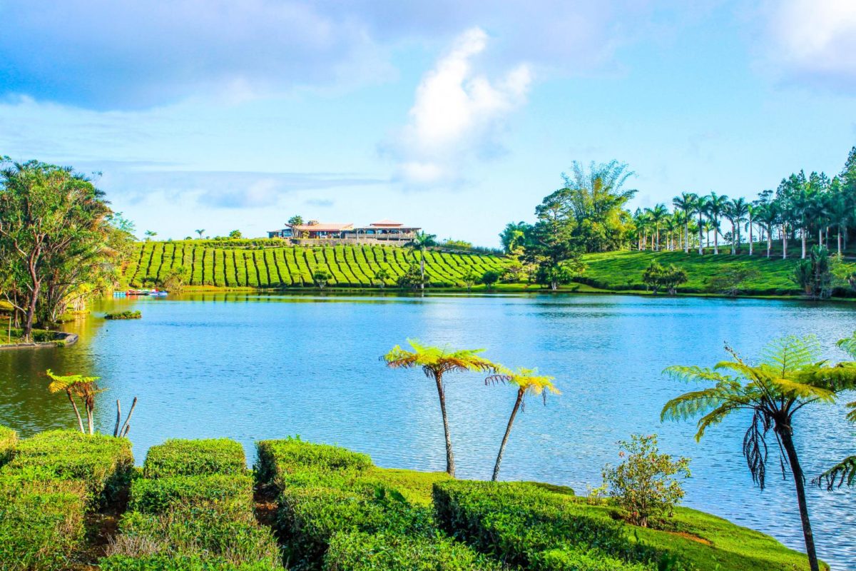 Mauritius - Jewel of the Indian Ocean - Harambee Africa